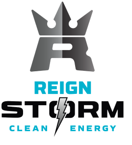 Reign Storm Kiwi Blend | Zero Sugar Energy Drinks